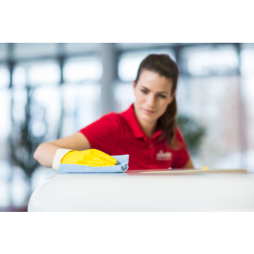 Vileda Professional Microfasertuch r-MicroTuff Swift, 5-teilig 1 ...