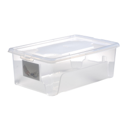 Gies ecoline Easy Box mit Deckel Fassungsvermögen: 5 Liter, transparent ...