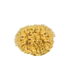 Waldkraft Duschschwamm aus Naturfasern, 11 cm 1 Stück kaufen