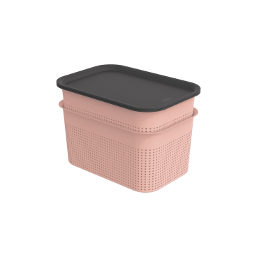 Rotho BRISEN Boxen mit Deckel 4,5 Liter, 2-teilig Farbe: linnea pink ged.