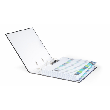 DURABLE Register DIN A4+, mehrfarbig 12-teilig kaufen 12-teilig