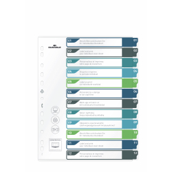 DURABLE Register DIN A4+, mehrfarbig 12-teilig kaufen 12-teilig